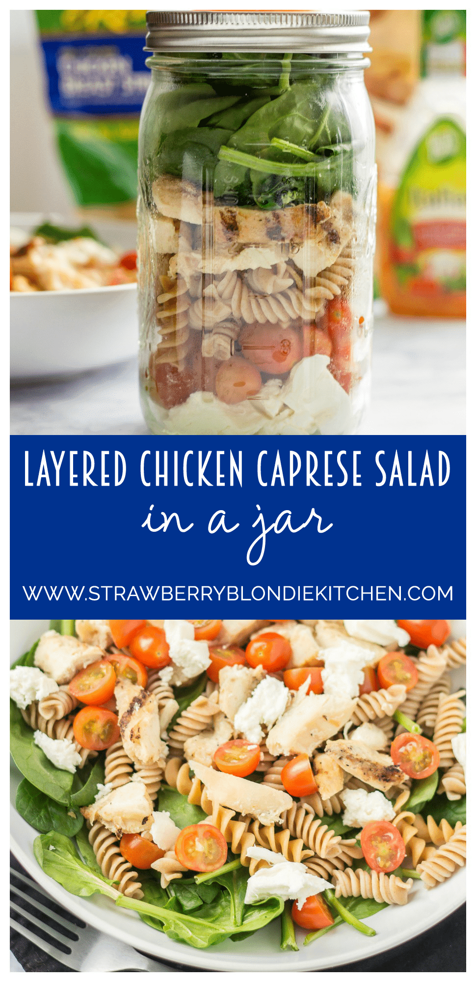 Mocha Coconut Java Carnation Breakfast Shake - Strawberry Blondie Kitchen